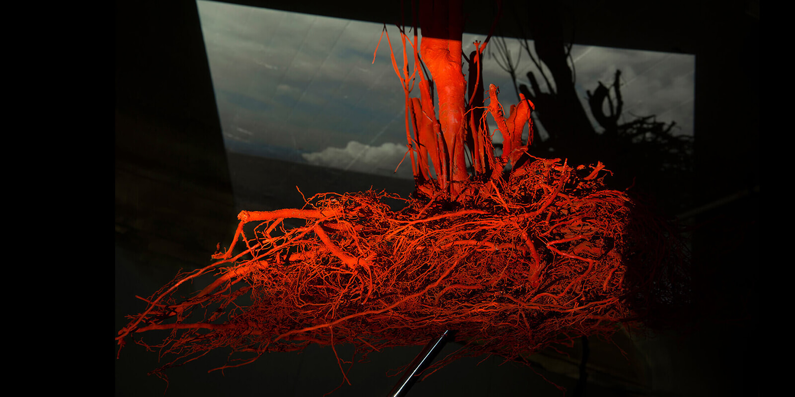 FEATURED PROJECTS Jia-Jen Lin