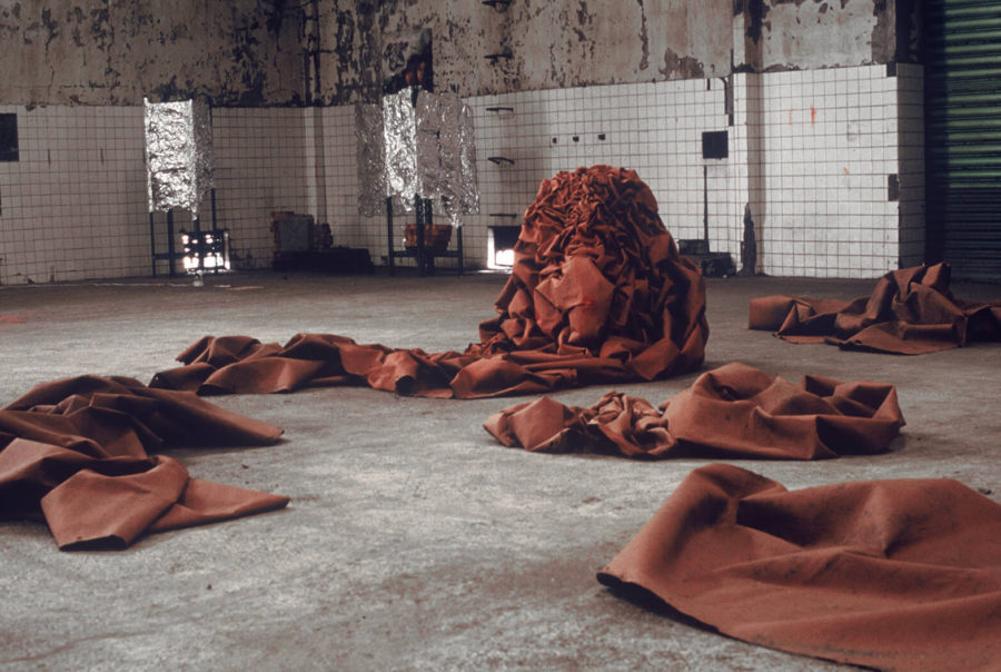 BODY AS REFLECTION Jia-Jen Lin